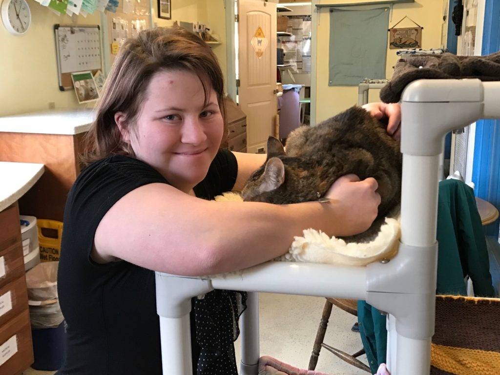 A need for beds – Wild Blue Cats