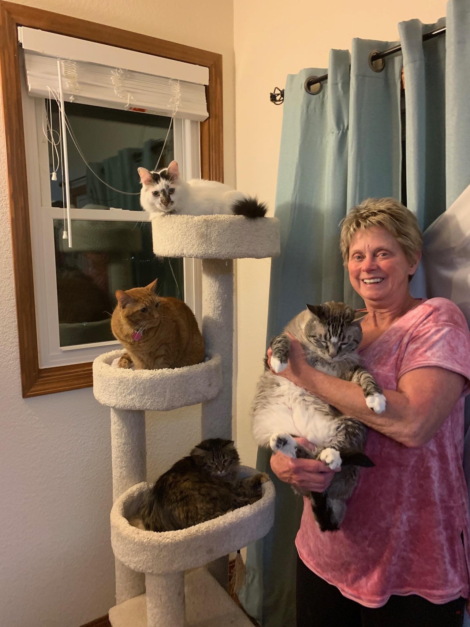 April Volunteer of the Month: Sherry! – Wild Blue Cats