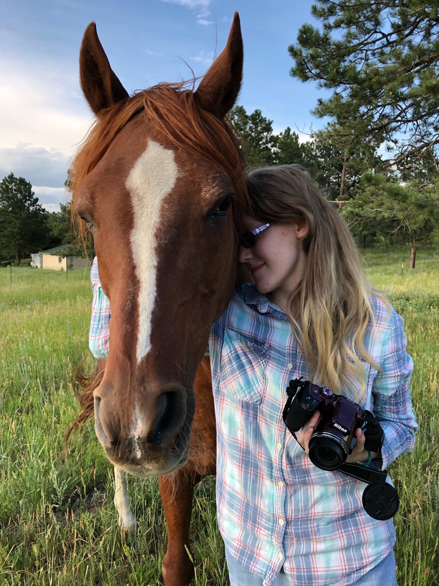 November Volunteer of the Month: Anna! – Wild Blue Cats