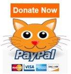 Wild Blue Cats – A Refuge For Cats & Kittens