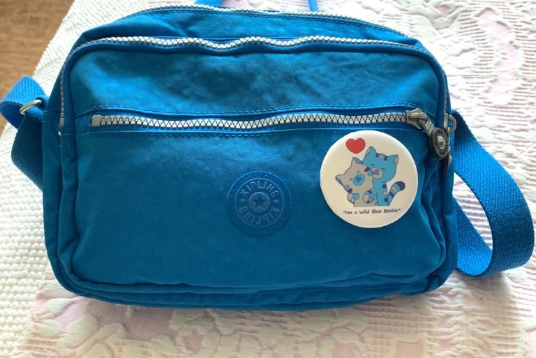 Wild Blue Cats – A Refuge For Cats & Kittens