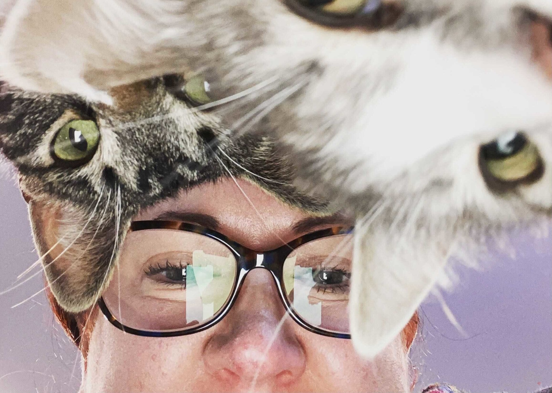 June Volunteer of the Month: Sabrina – Wild Blue Cats