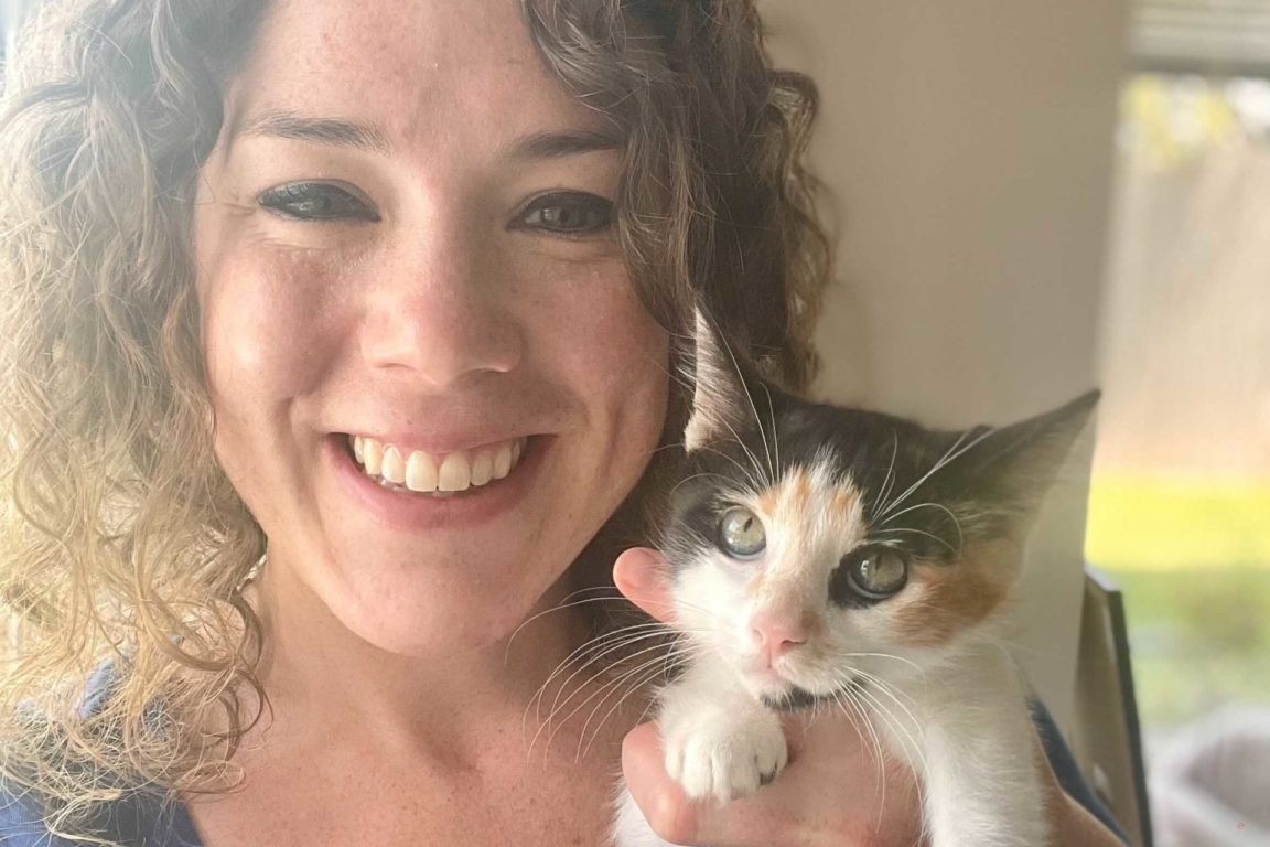 Blog – Wild Blue Cats