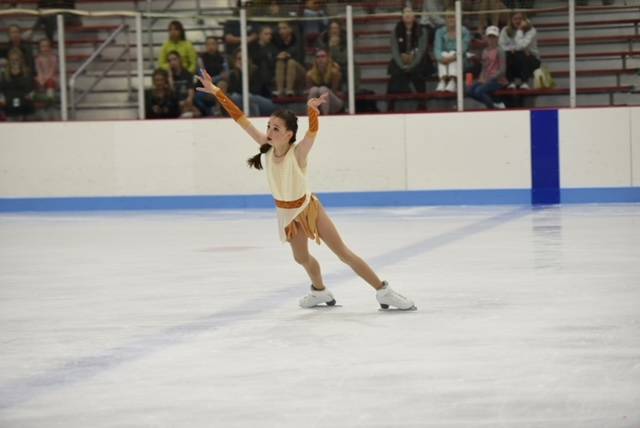 January 2024 Volunteer of the Month: The Tompkins Family – Wild Blue Cats